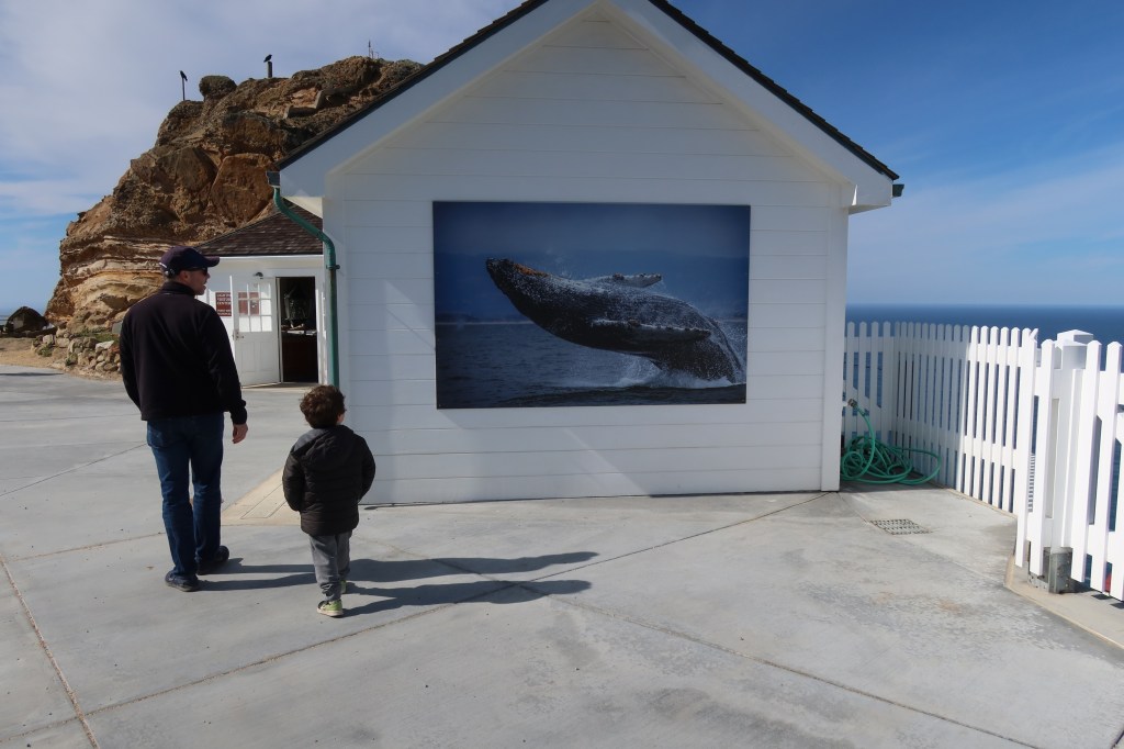 What to do in Point Reyes National Seashore with kids – Fragole e Mirtilli